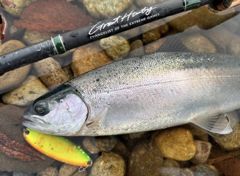 【Major Craft】”Fine tail Works Tune l ファインテイルワークスチューン”他サブライムスプーン再入荷！ - 道東の釣りならブルーマリン